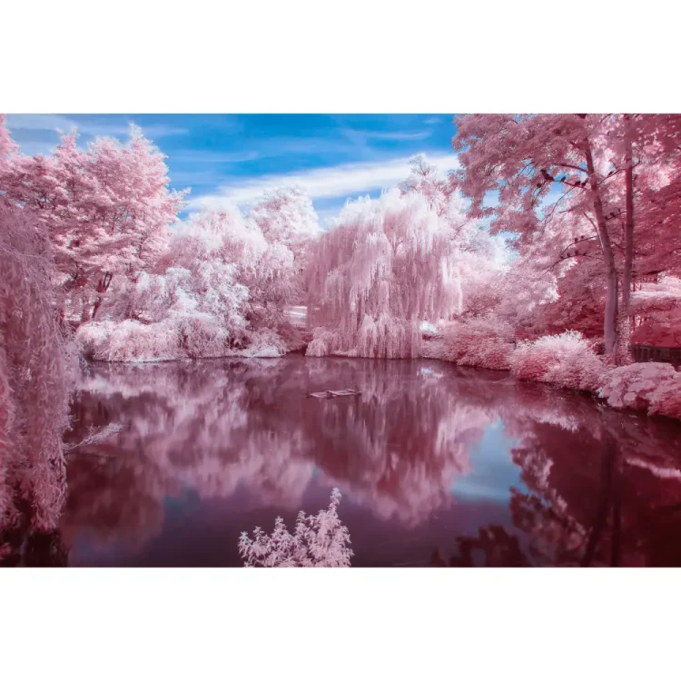 قیمت فیلتر رنگی HAIDA INFRARED IR950 77MM